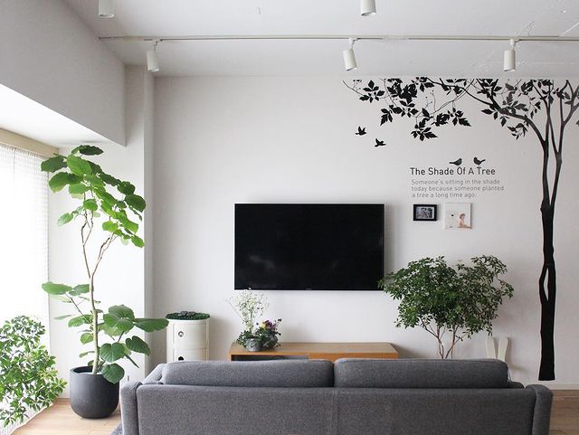 プロが教える「15畳LDKリビング」のレイアウト講座！間取り別にすべき工夫とは | folk